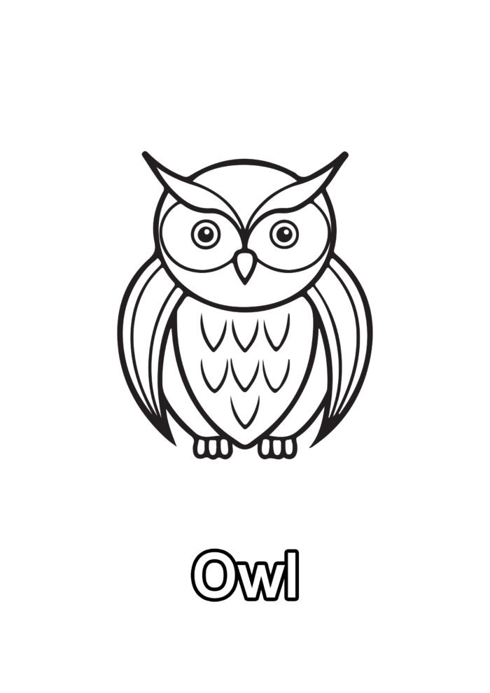 Owl Coloring Page For Kids – Free Activity PDF Download - The ...