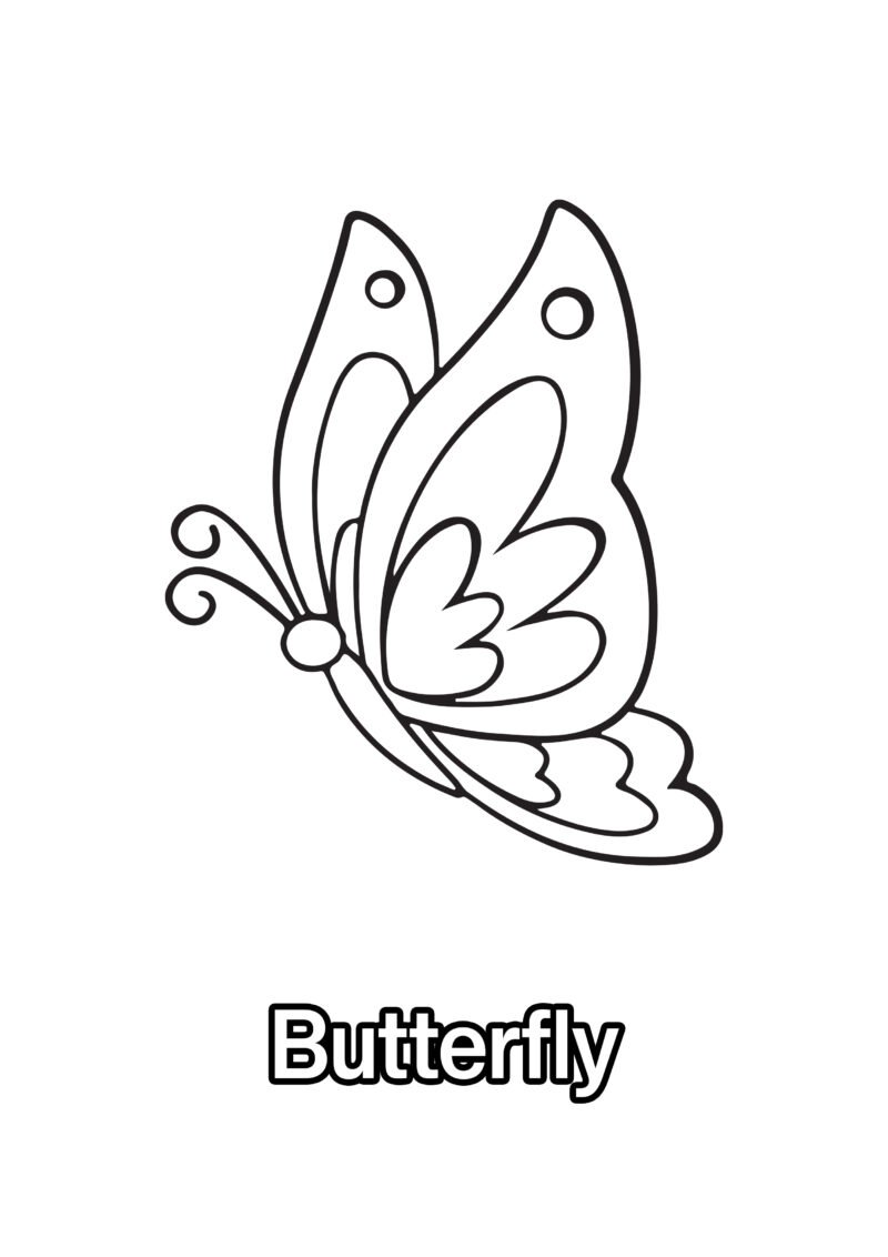 Beautiful Butterfly Coloring Page For Kids – Free Activity PDF Download ...
