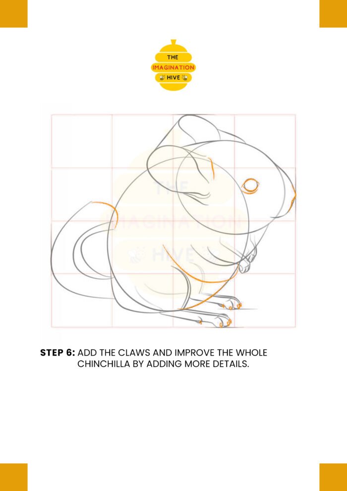 How to Draw a Chinchilla — Step by Step - The Imagination Hive