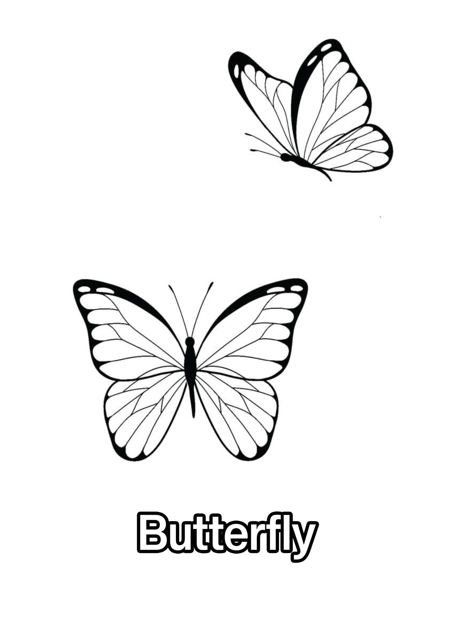 Beautiful Pattern Butterfly Coloring Page For Kids – Free Activity PDF ...