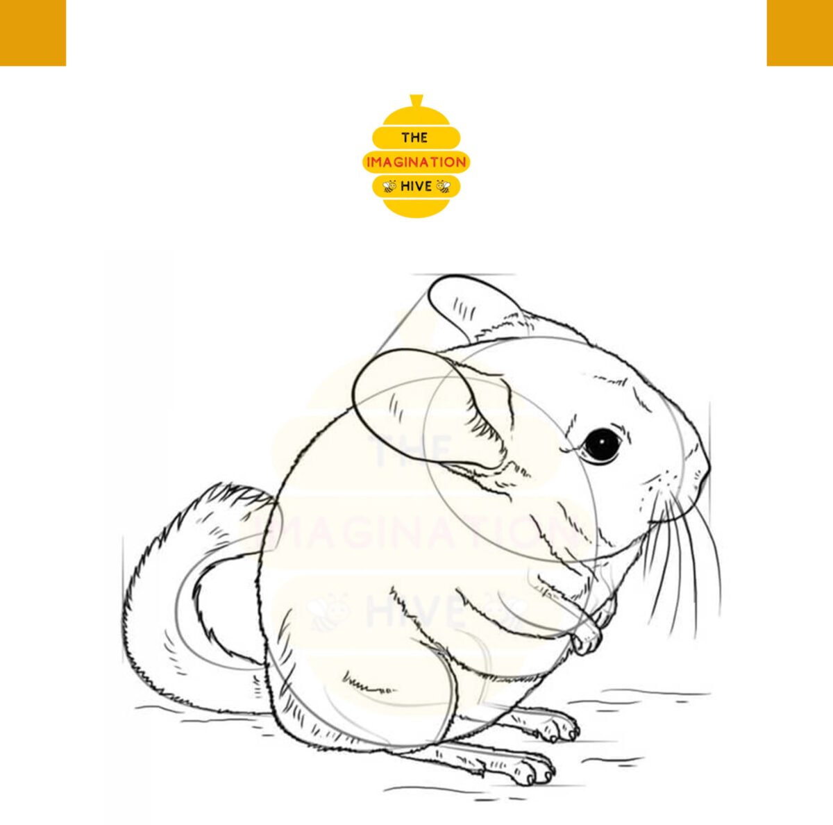How to Draw a Chinchilla — Step by Step - The Imagination Hive