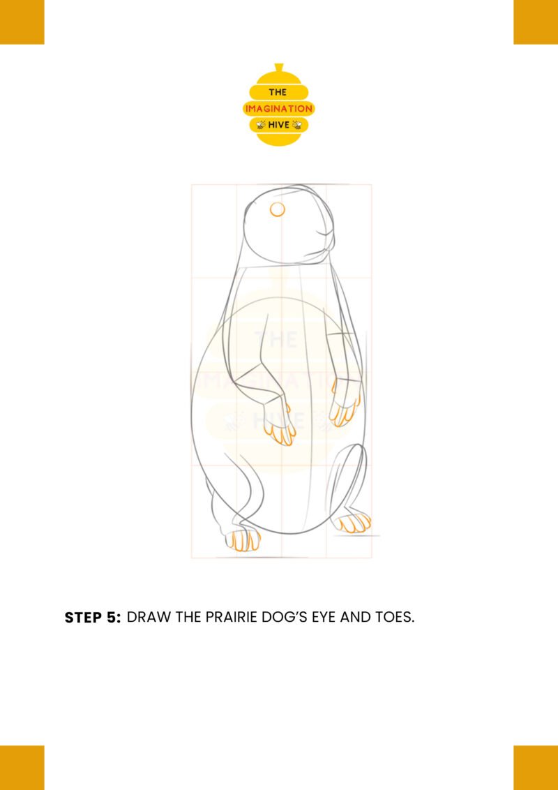 How to Draw a Prairie Dog - The Imagination Hive