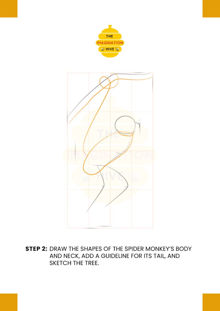 How to Draw a Spider Monkey - The Imagination Hive