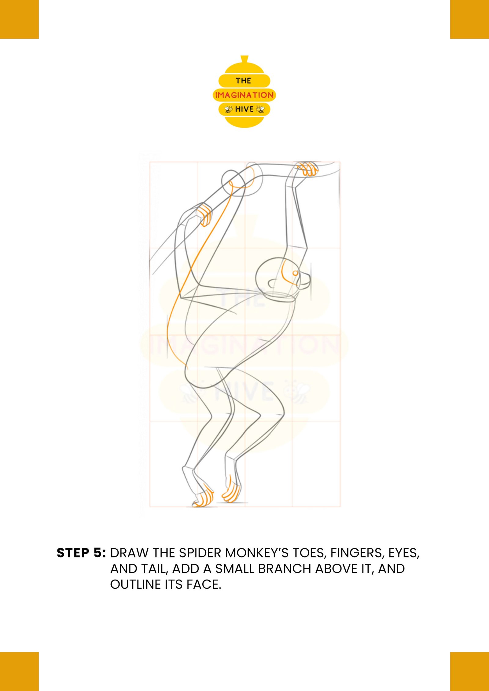 How to Draw a Spider Monkey - The Imagination Hive