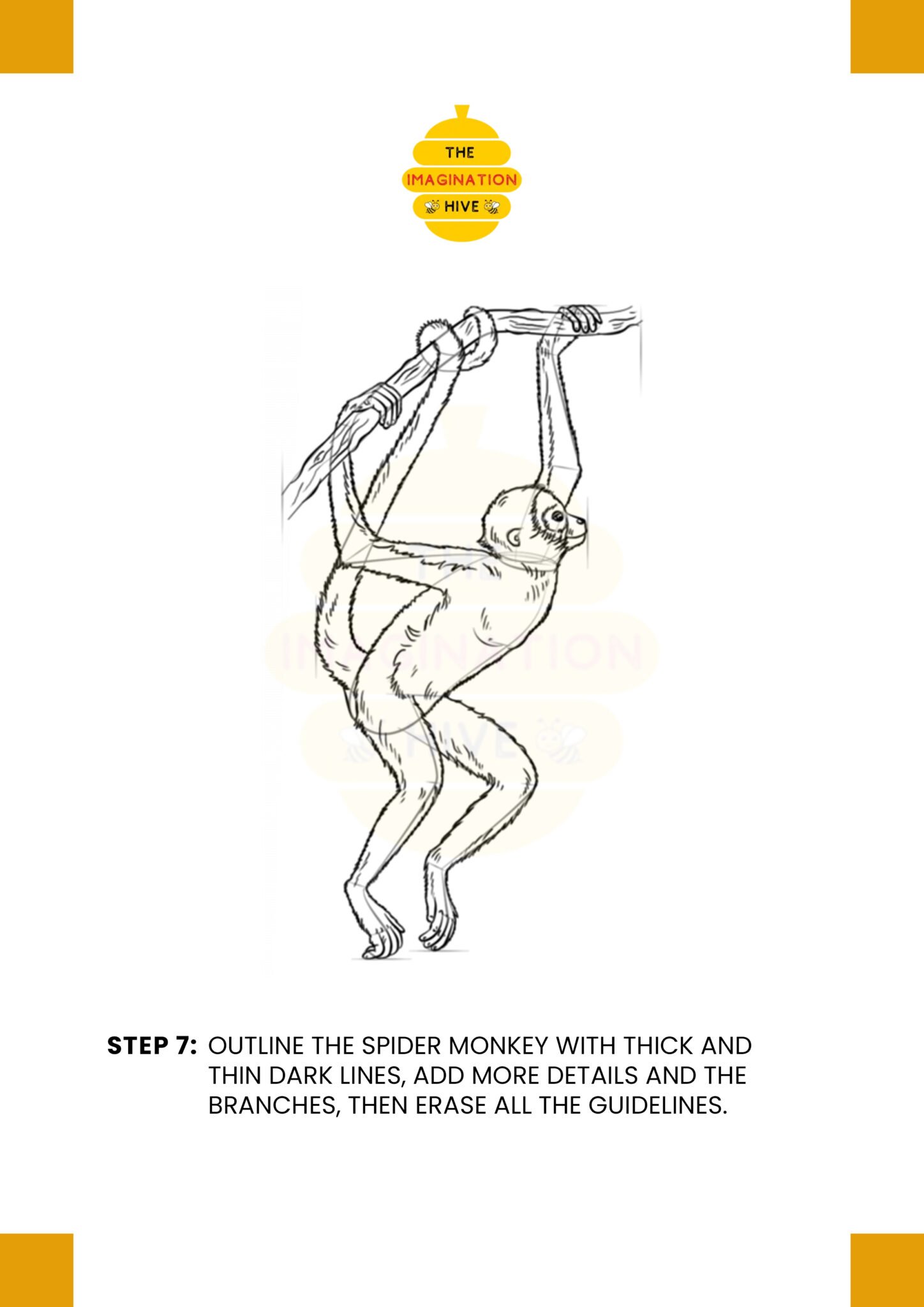 How to Draw a Spider Monkey - The Imagination Hive