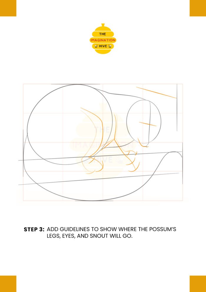How to Draw a Possum Step by Step - The Imagination Hive