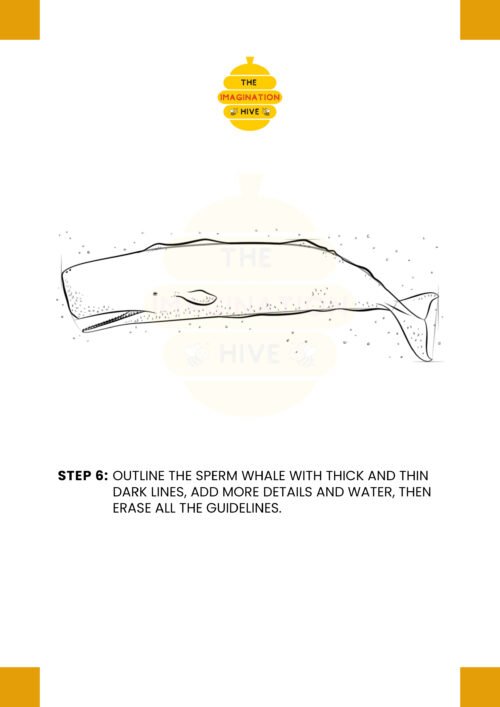 How to Draw a Sperm Whale – Step by Step - The Imagination Hive