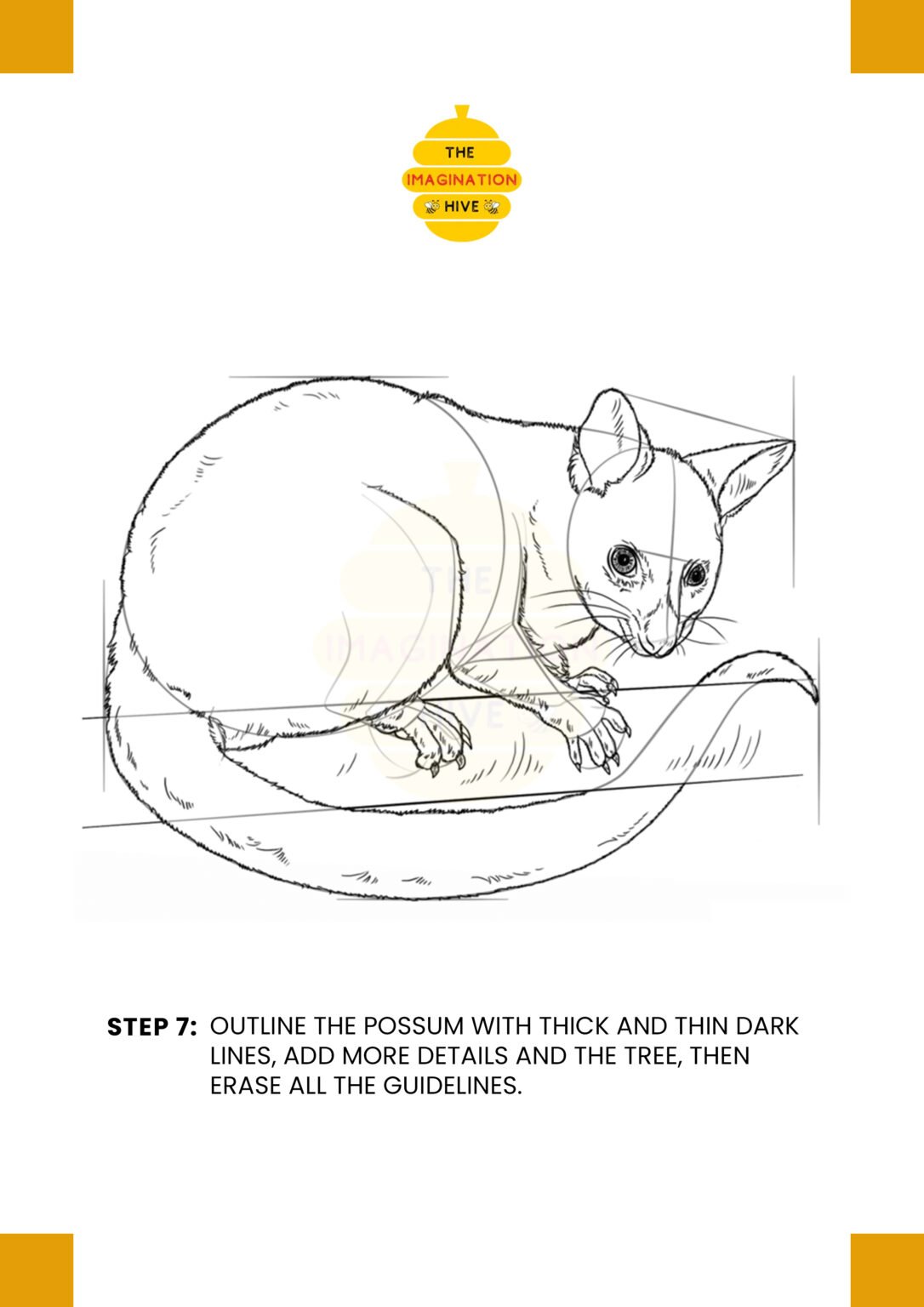 How to Draw a Possum Step by Step - The Imagination Hive