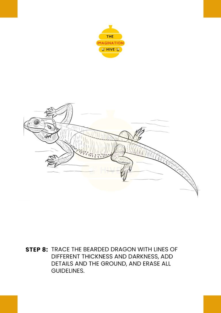 How to Draw a Bearded Dragon — Step by Step - The Imagination Hive