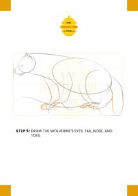 How to Draw a Wolverine – Step by Step - The Imagination Hive