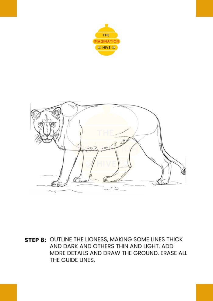 How to Draw a Lioness Step by Step - The Imagination Hive